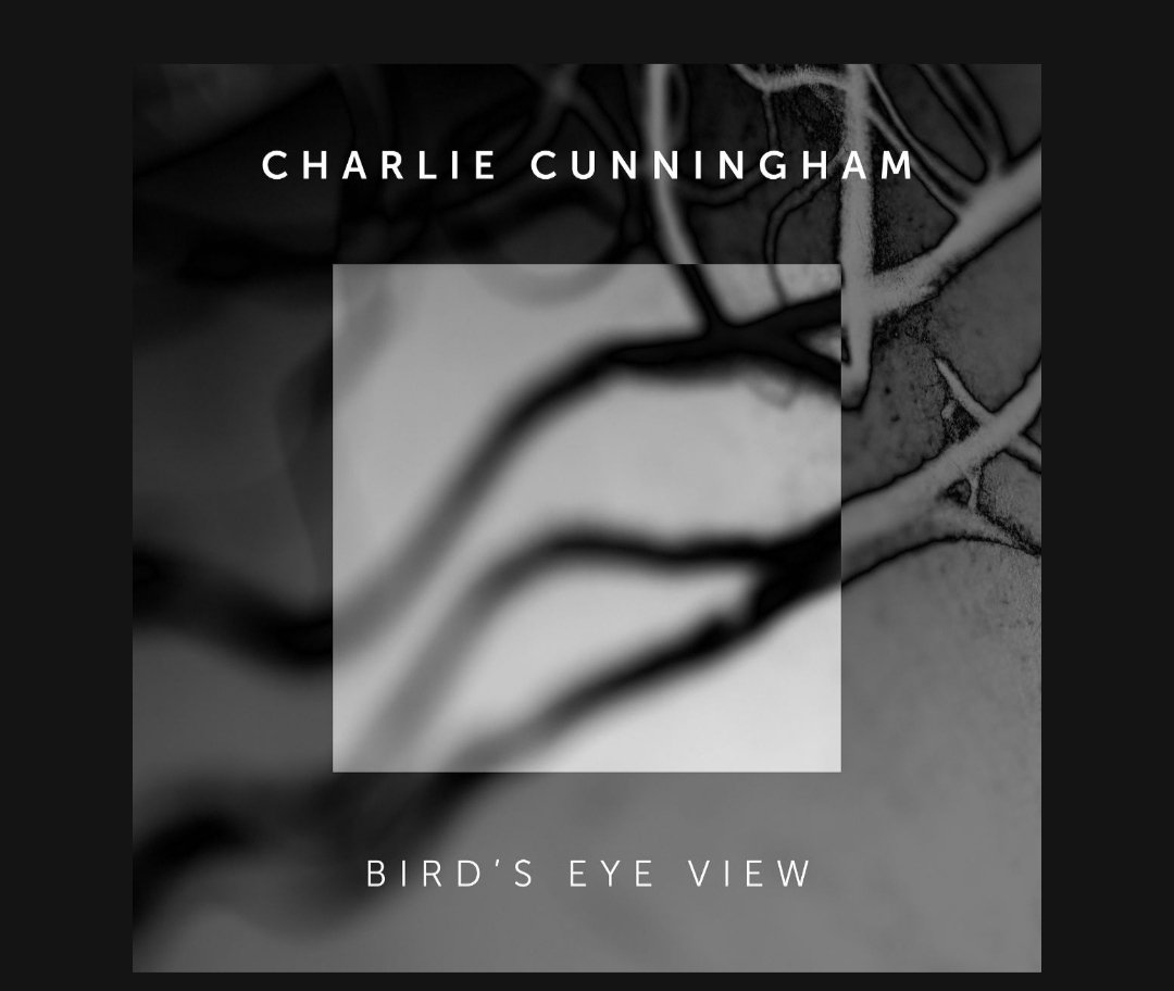 Charlie Cunningham lanza «Bird’s Eye View», su nuevo single – Magazine Rock